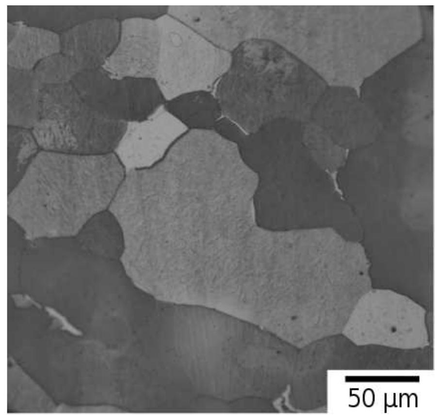 Cross-sectional optical micrograph of bulk molybdenum