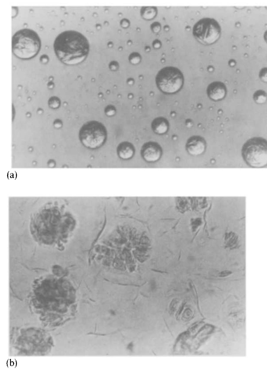 Photomicrographs of the swelling and interaction of