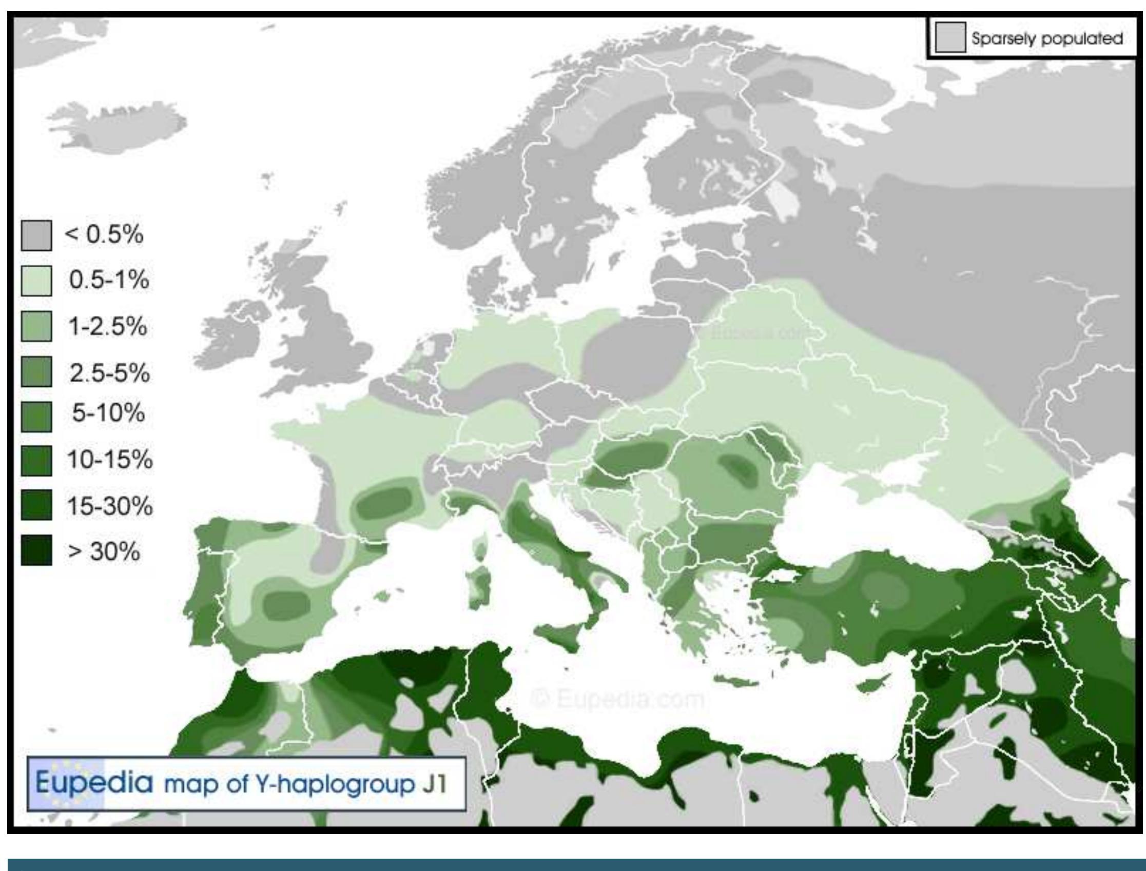 (PDF) Origins and history of Haplogroup J1 (Y-DNA)