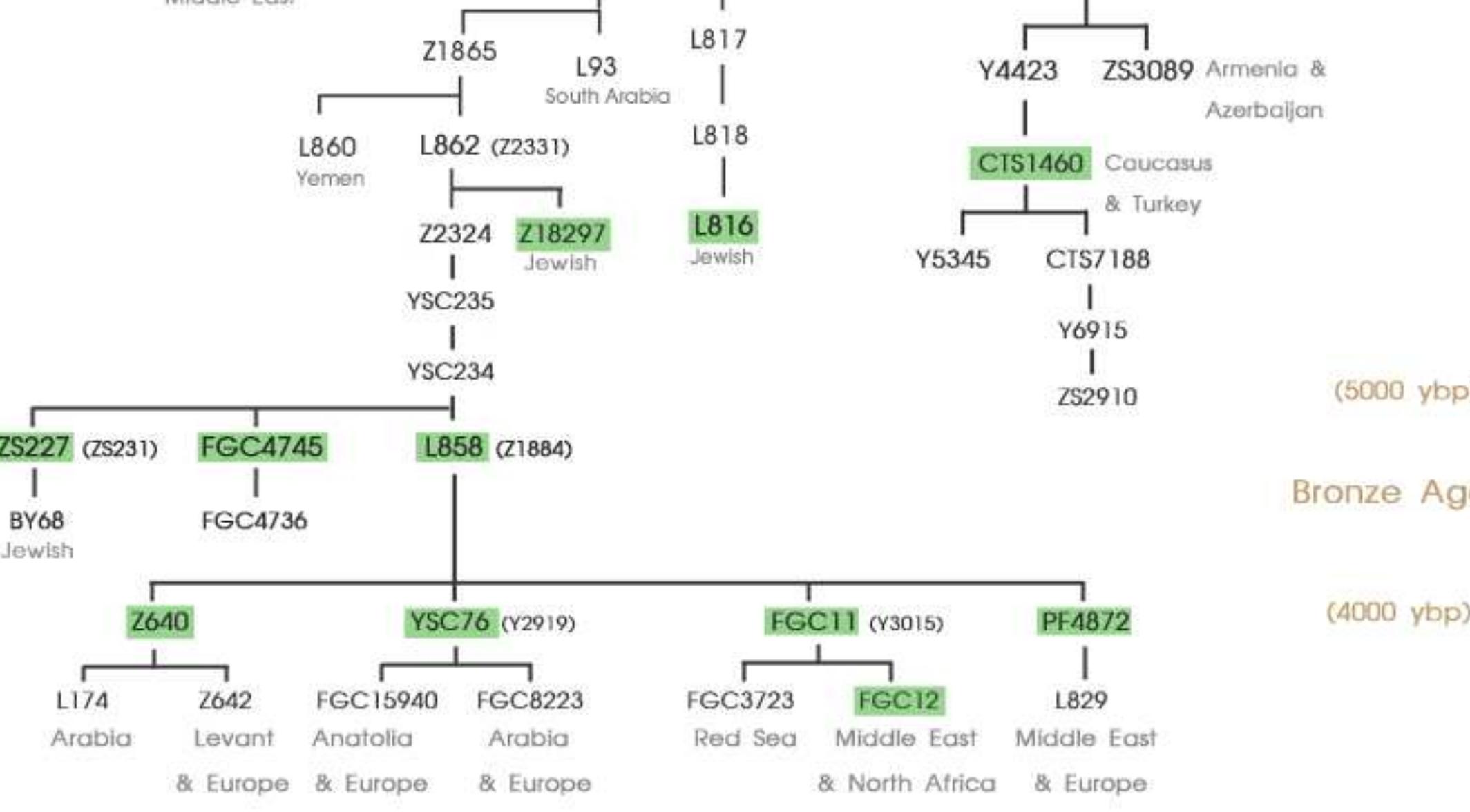 (PDF) Origins and history of Haplogroup J1 (Y-DNA)