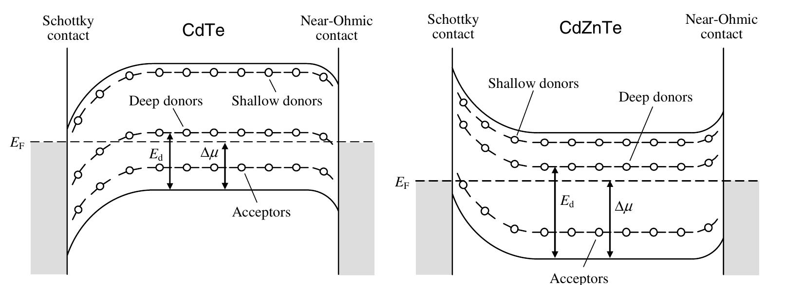 Energy diagrams of schottky diode detectors based on p-cdte