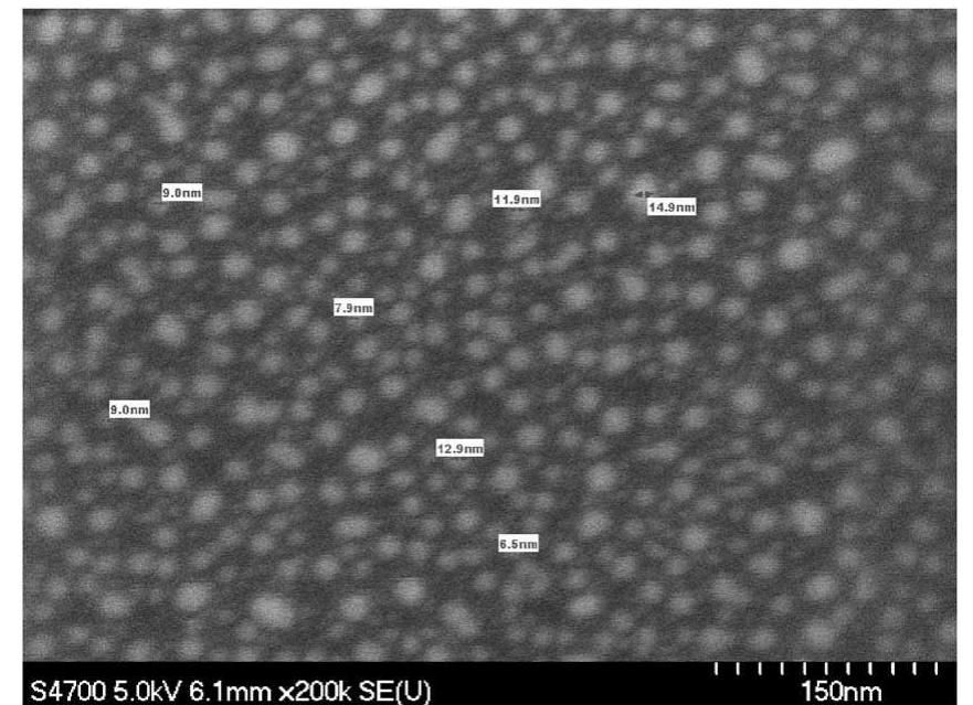 Tungsten nanoparticles fabricated by fib deposition. the