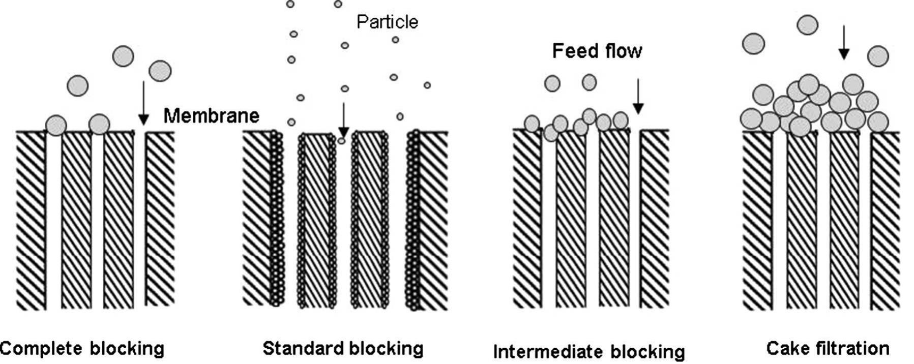 Figure 1 - from Characteristics of membrane fouling in