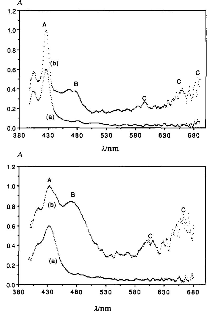 Transient absorption spectra of anthracene (upper) and