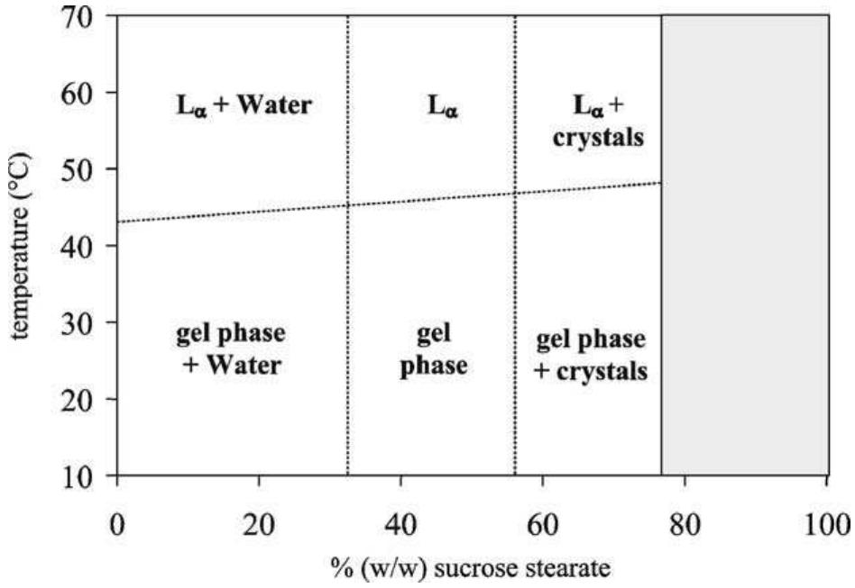 Approximate partial phase diagram for the binary sucrose