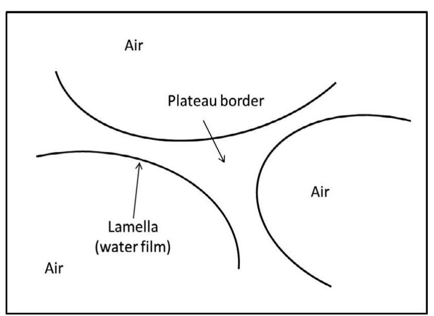 Schematic representation of a plateau border and its