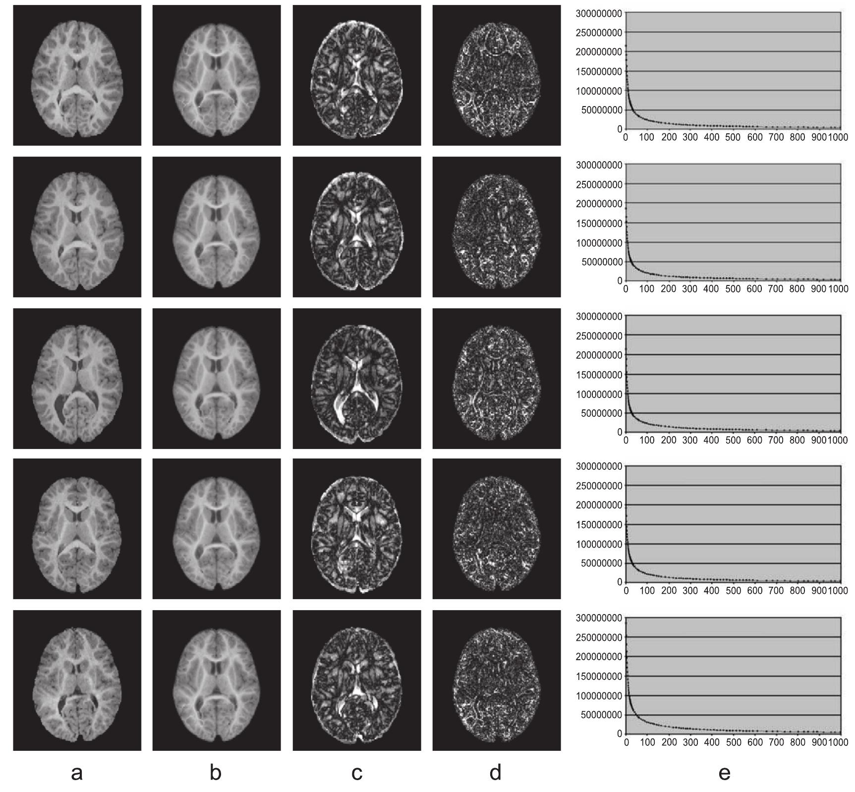 Template construction shown for five of the eight initial
