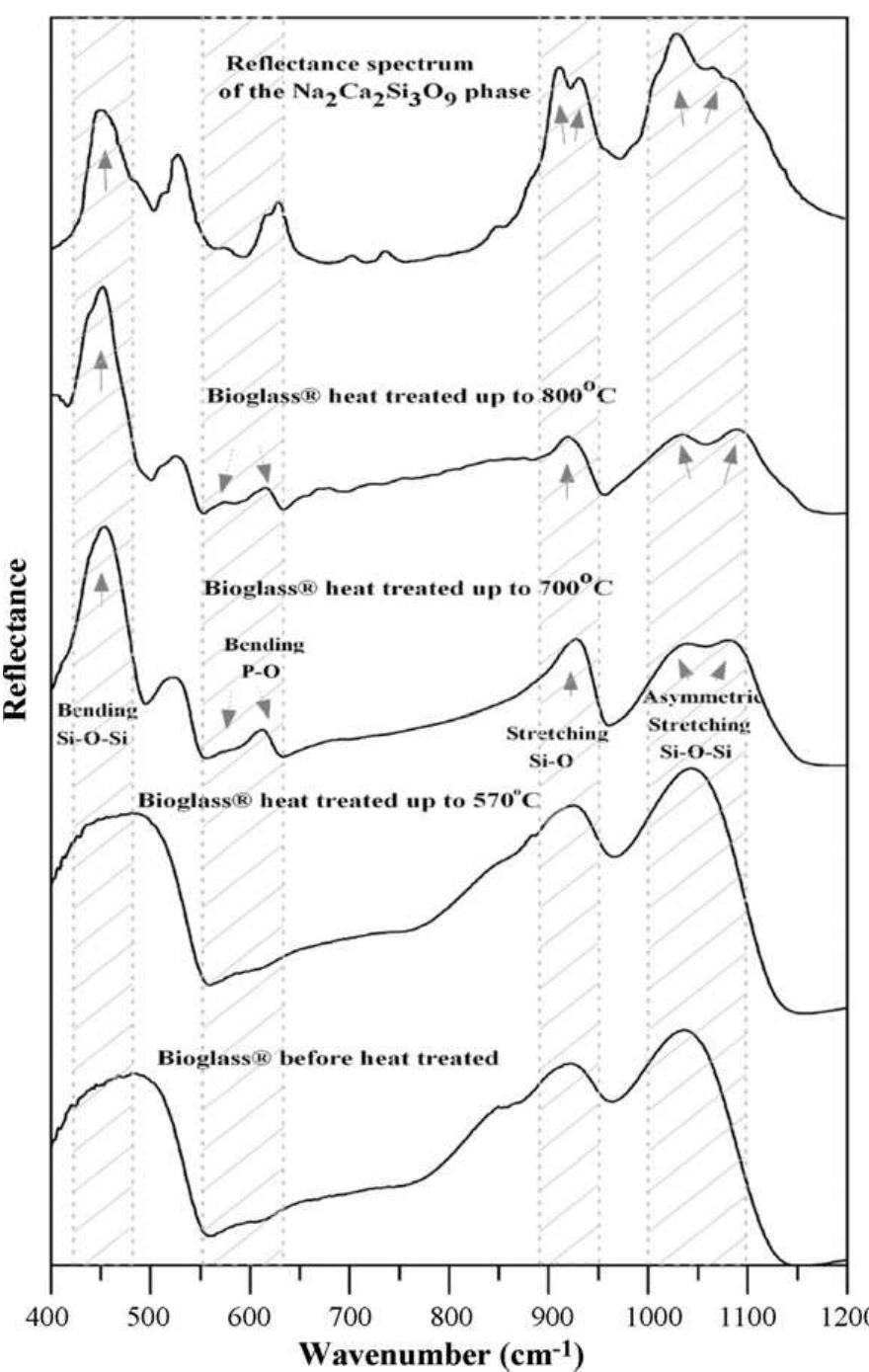Ftir spectra of bioglass® before heat treatment, heat