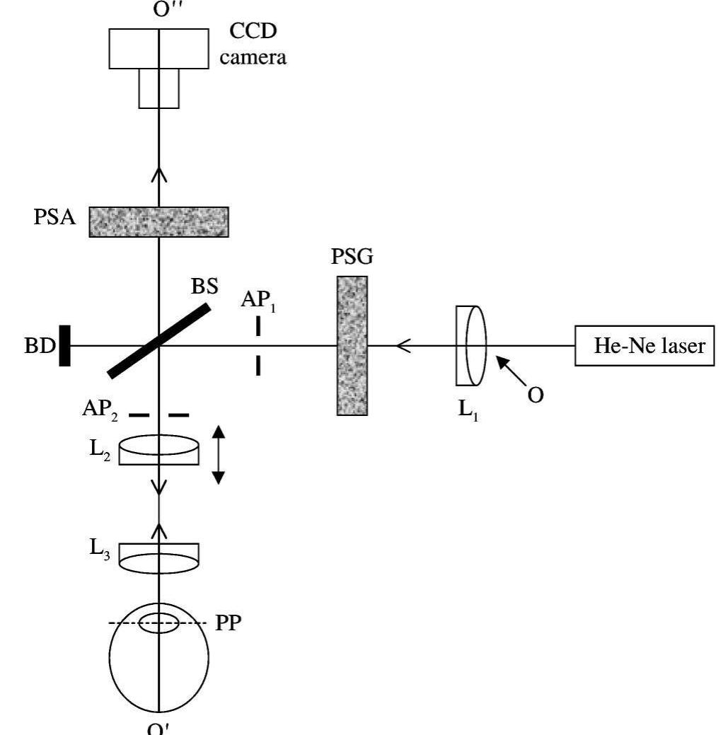 Simplified diagram of the mm double-pass imaging po-