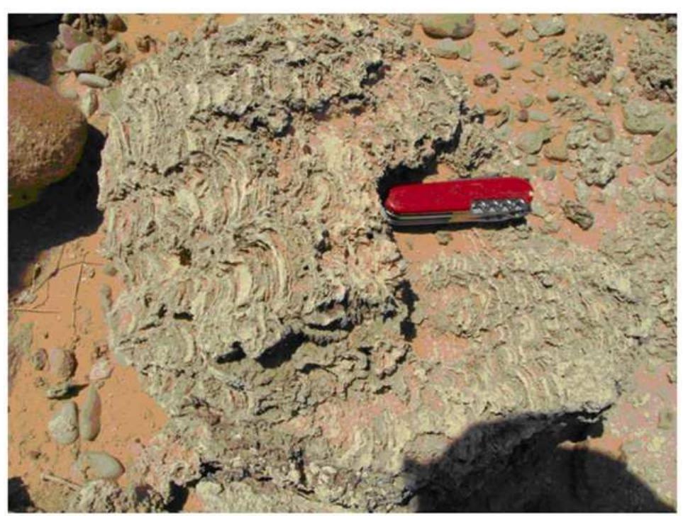 Figure 14 - Geomorphology of Lake Lisan terraces along the