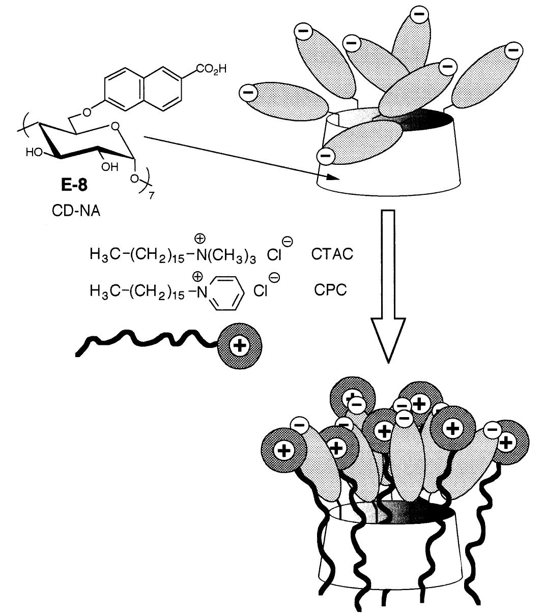 Schematic Illustration Of The Detection Of Cationic