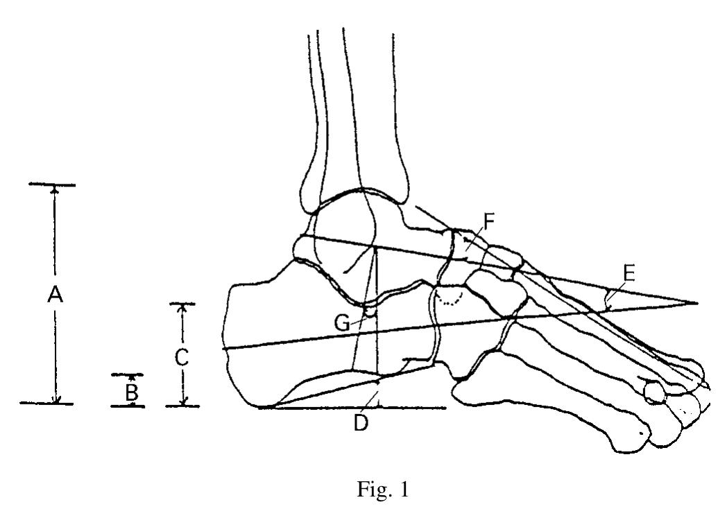 Diagram showing the radiological measurements: a,