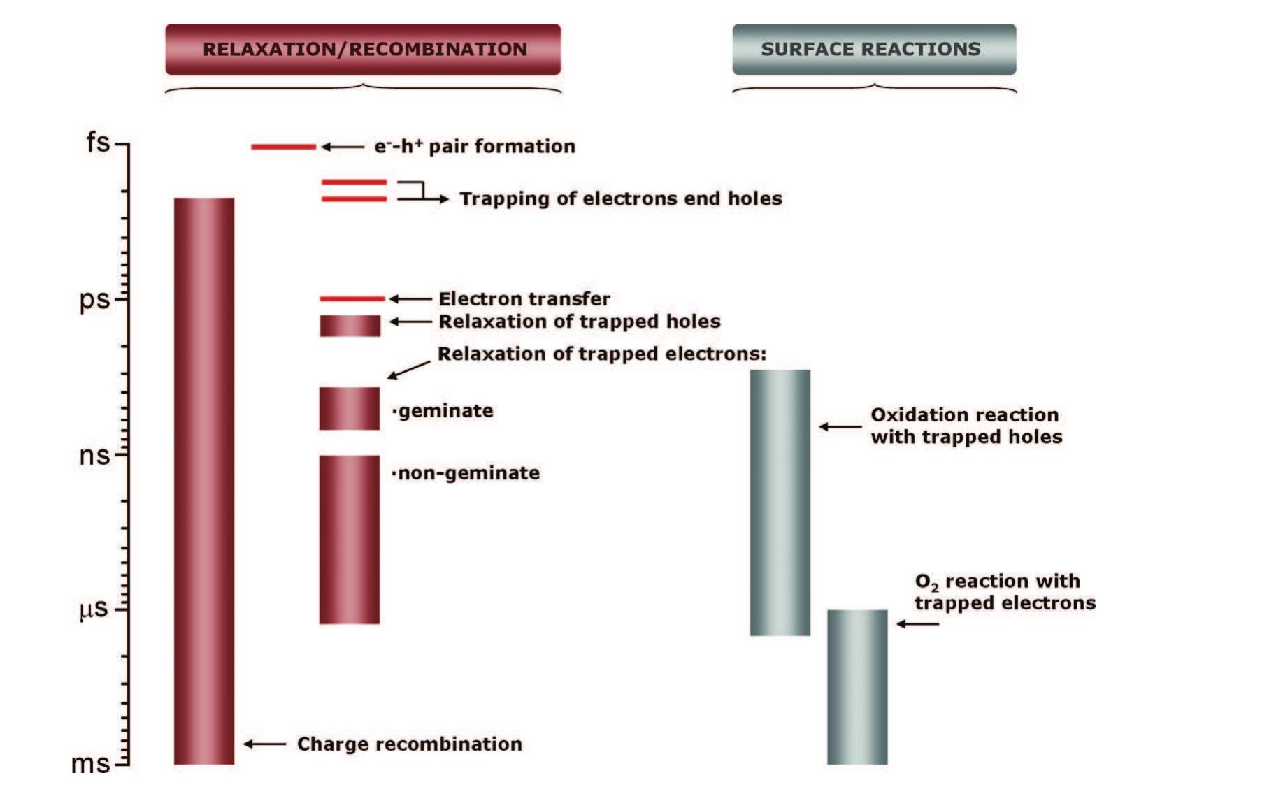 Time scales of “elemental steps” occurring in a prototypical