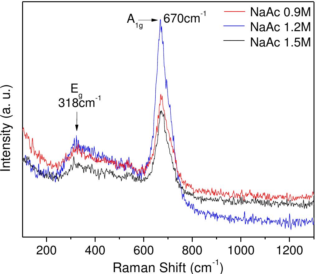 Room temperature micro raman spectra of the magnetite