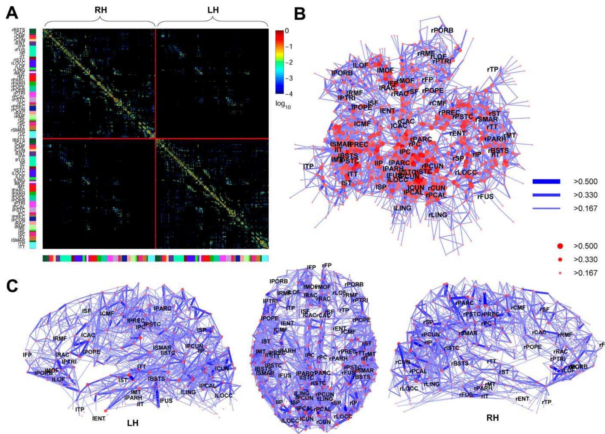 High-resolution connection matrix, network layout and