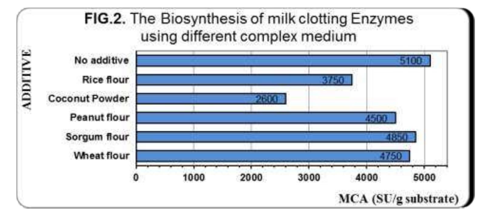 Optimization of fungal rennet production by local isolate of