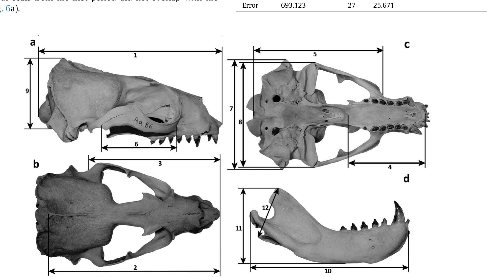 Right lateral view (a), dorsal view (b) and ventral view (c)