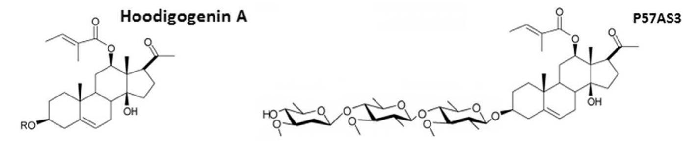 Chemical structure of p57 and hoodigogenin a.