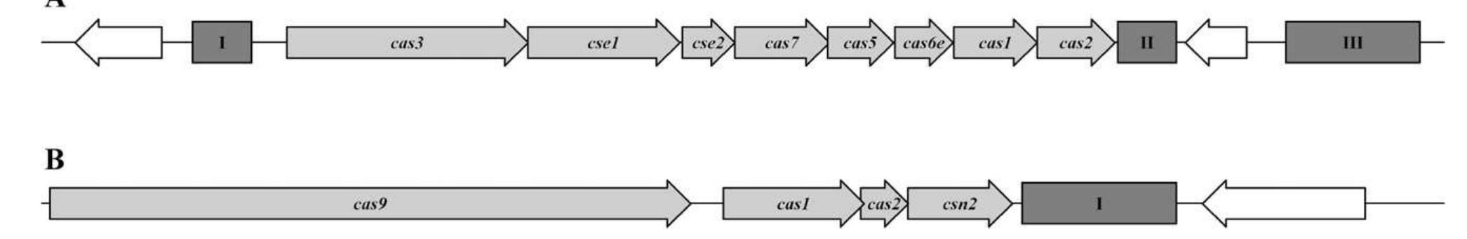Schematic map of the crispr/cas systems identified in l.