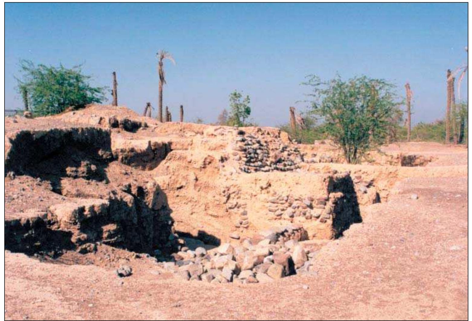 An archaeological excavation in progress at the kalba tell