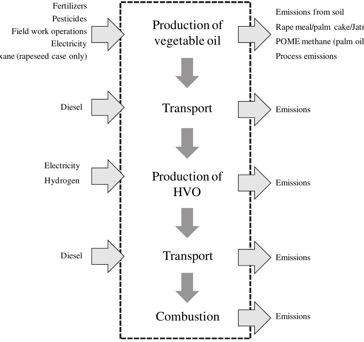 Process tree describing the hvo life cycle.
