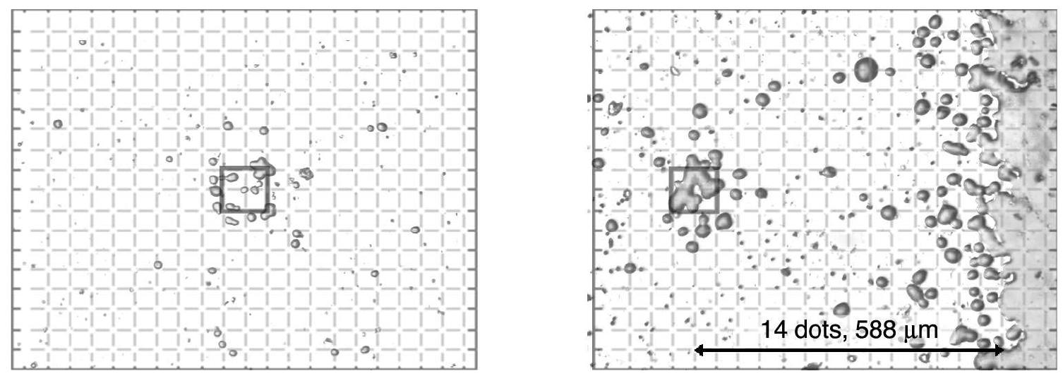 2: microscopic images of electrophotographic transparency