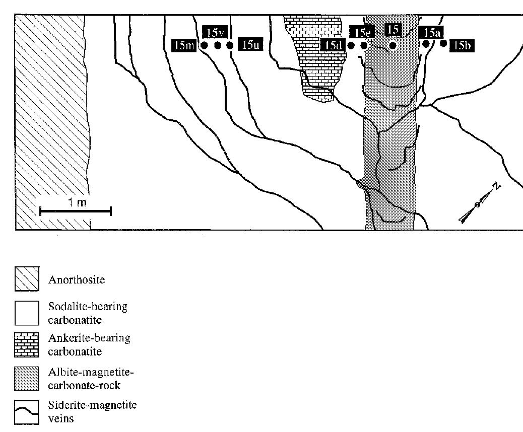 Simplified geologic map of the horizontal rock face with the