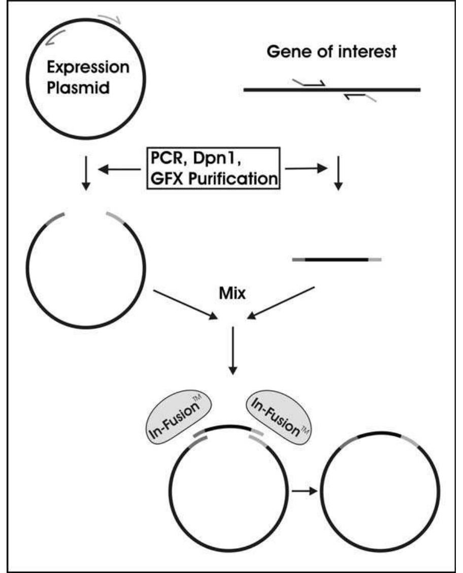 Figure 1 - from An improved method for fast, robust, and