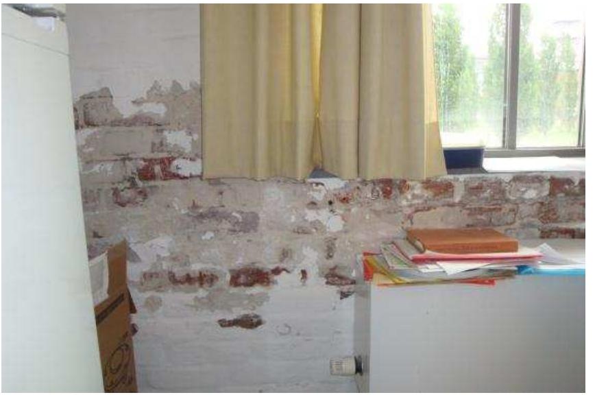 Figure 2 - Salt extractions of brickwork: a standard