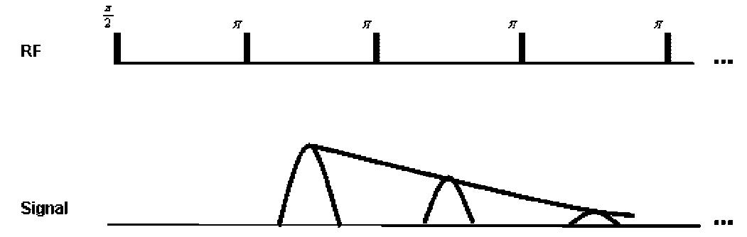 Cpmg pulse sequence (adapted from carr and purcell? and
