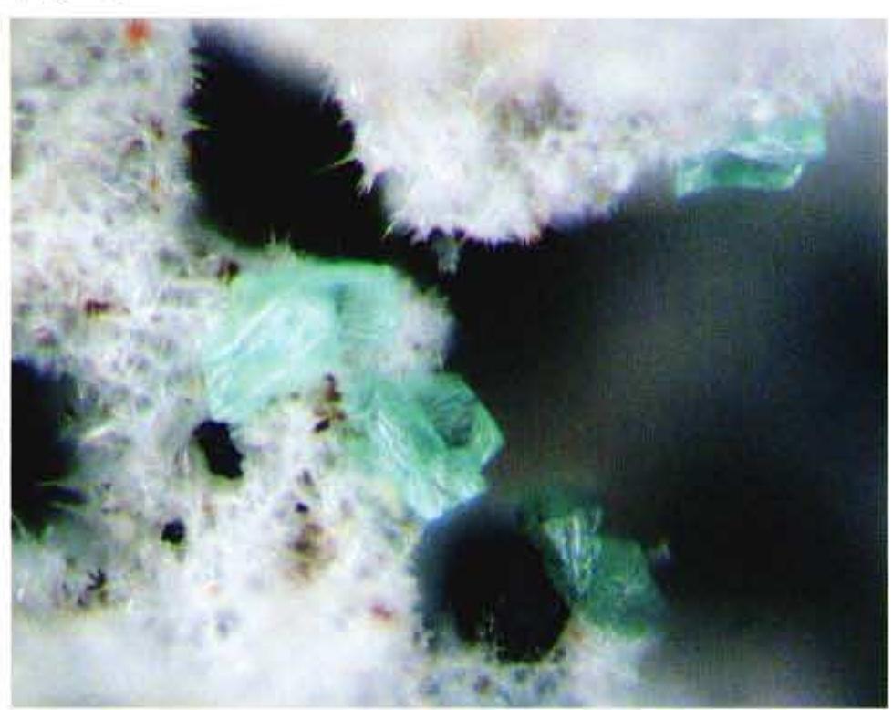 Recently by wds contain more copper than zinc. although they