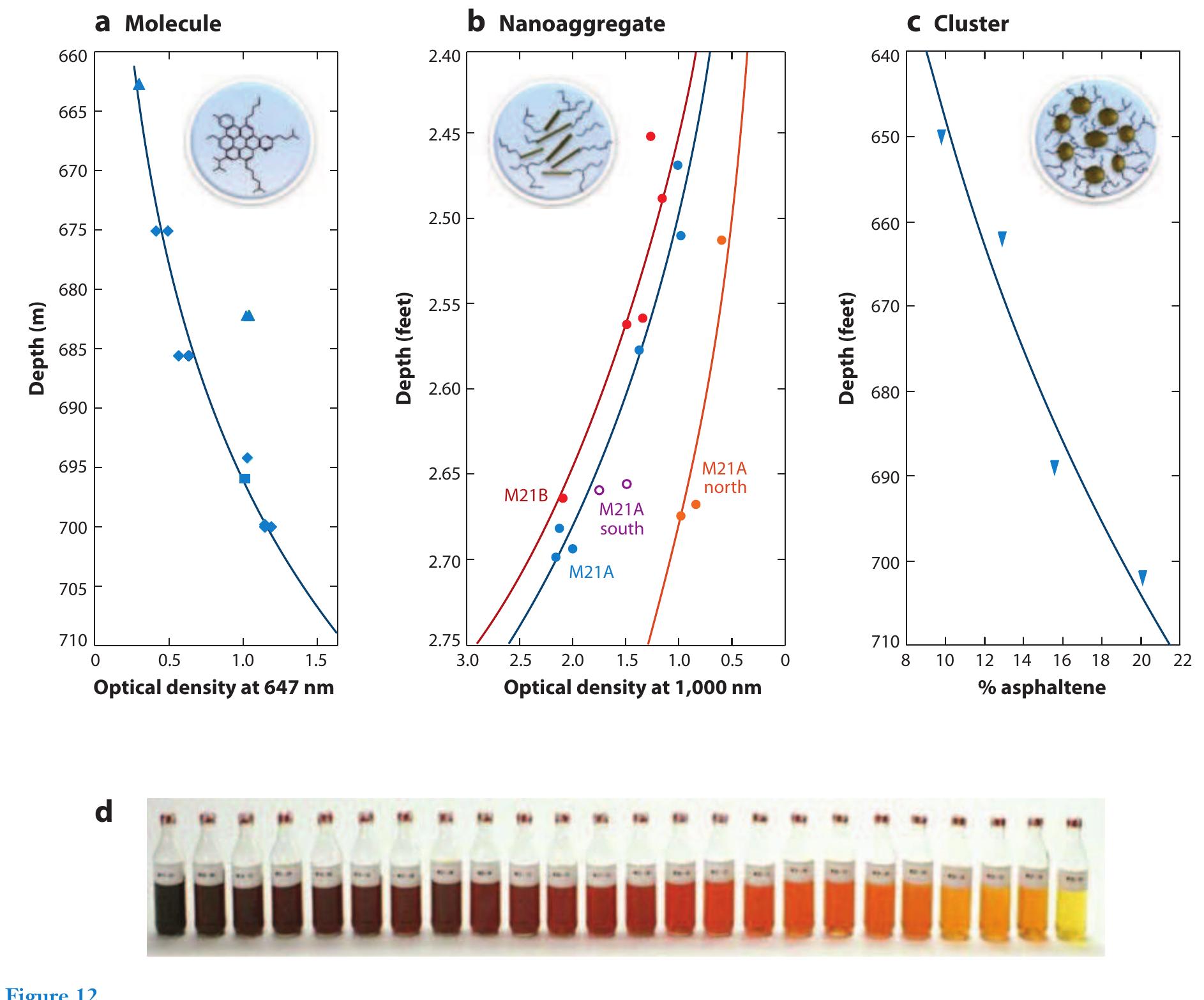 Asphaltene gradients in oil reservoirs. (a) for light oils