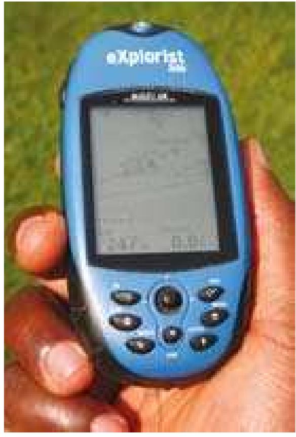 Many different kinds of pests, natural enemies and plant