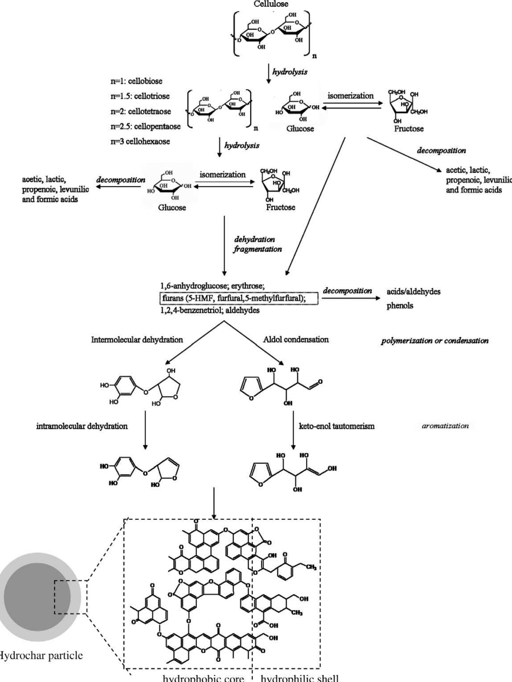 - mechanism of formation of hydrochar particles from
