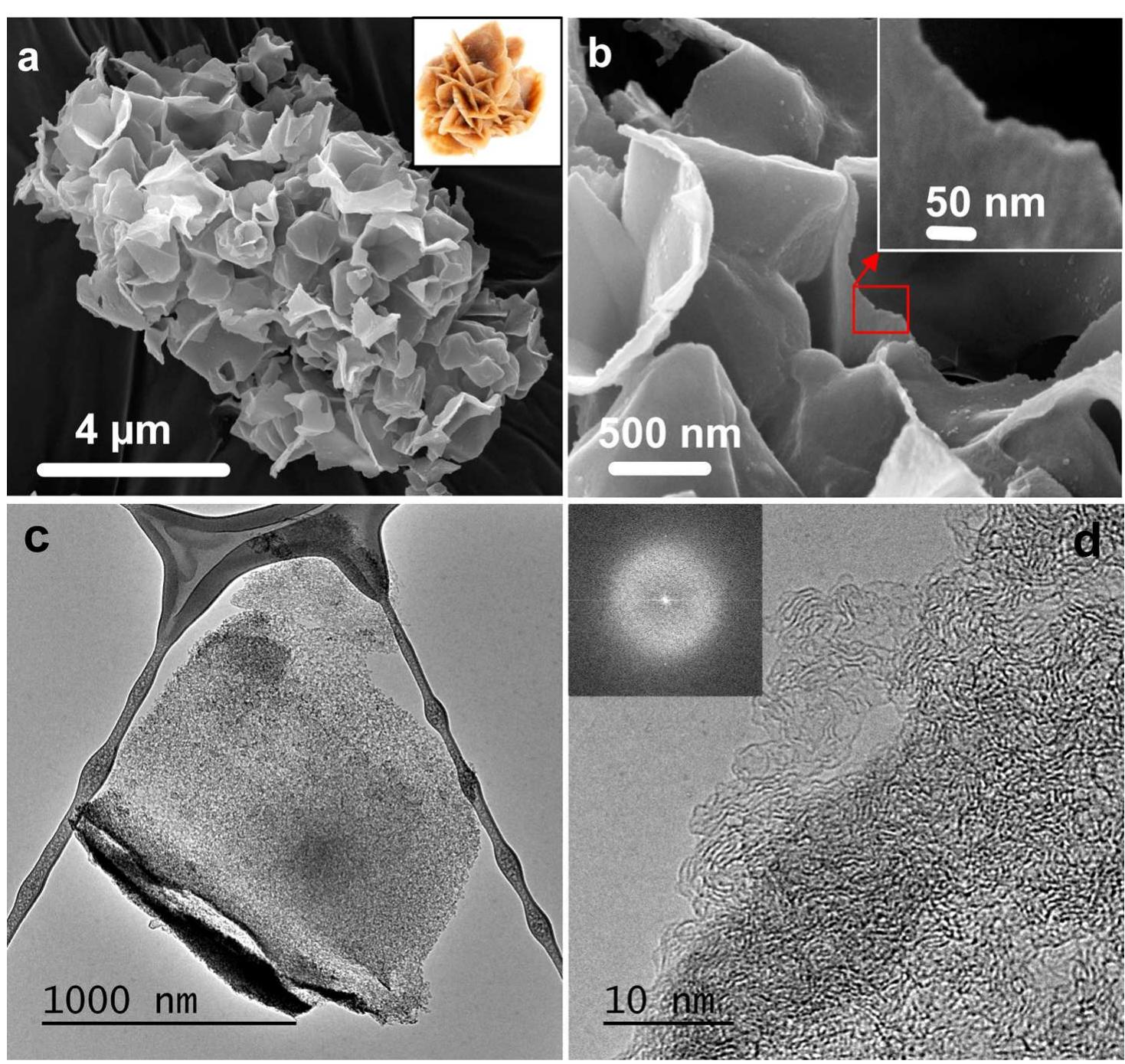 (a,b) sem images of interconnected carbon nanosheets of