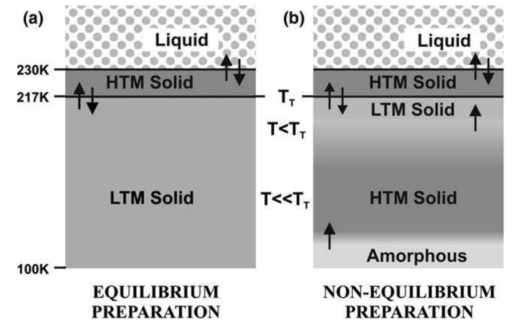 Schematic representations of the equilibrium phase