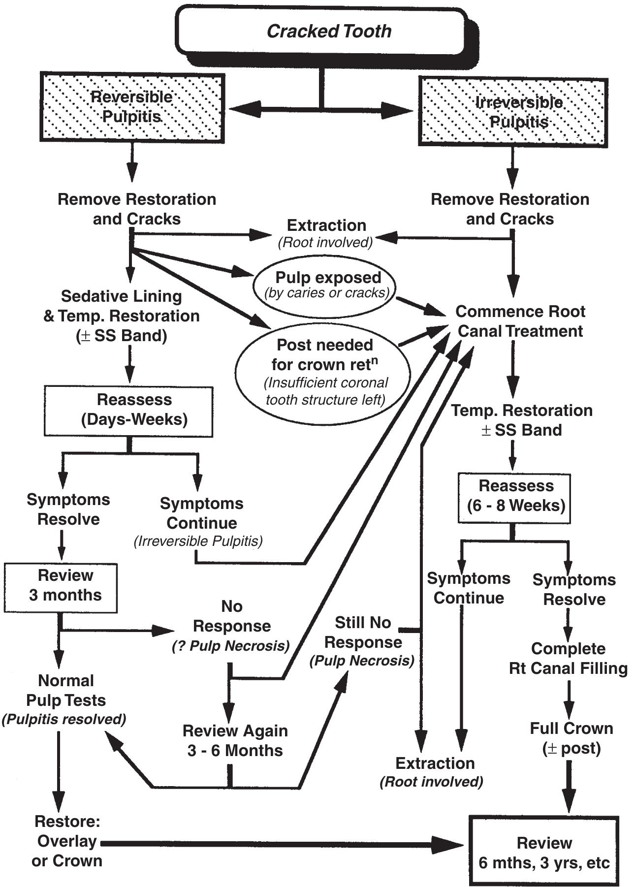 Flow chart outlining the protocol for managing teeth with