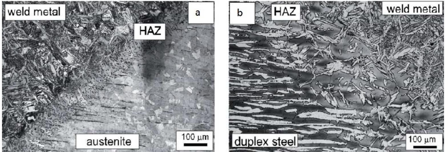 Micrograph of dissimilar weld, (a) haz microstructure,