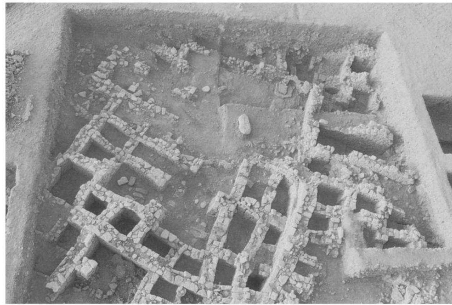 Z\ an aerial view of the late ppnb architecture of basta.