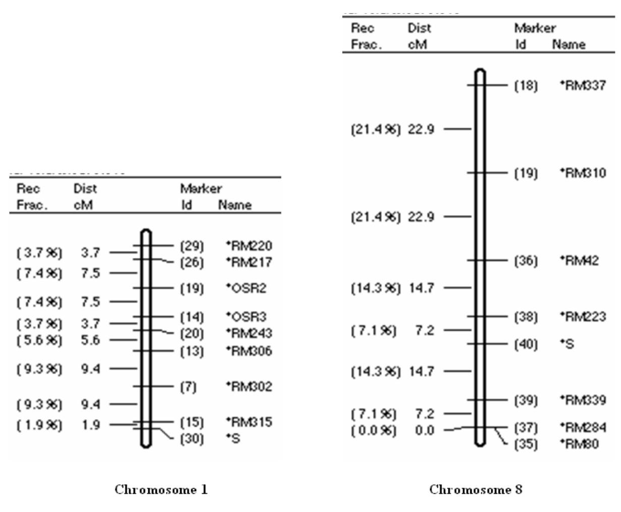 Microsatellite linkage map of rice chromosome 1 and 8. the