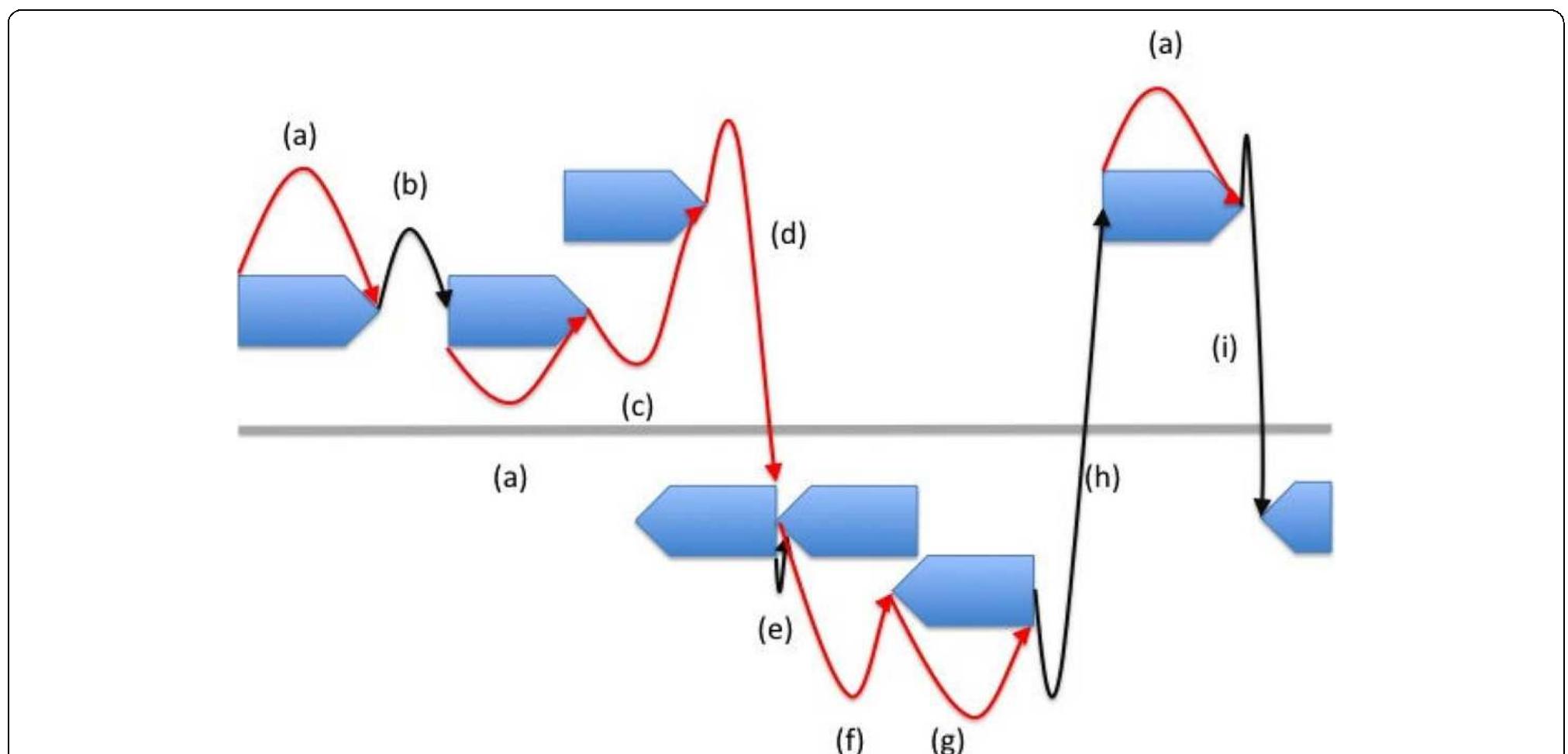 Illustration of the dynamic programming connections in