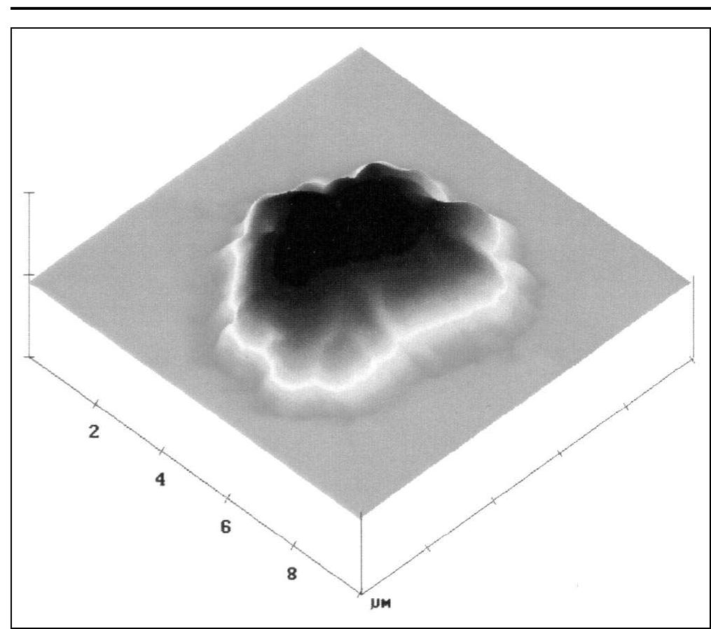 Atomic force microscopy photograph of a ‘void defect’