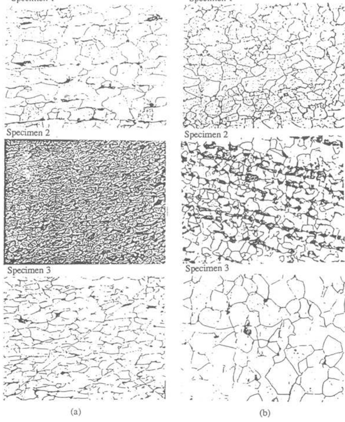 Microscopic examination of crystalline structure of wwf: (a)