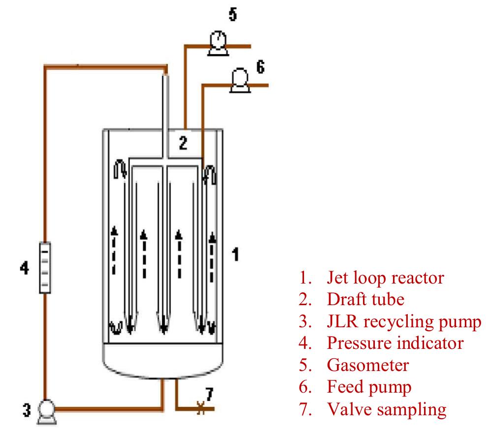 Schematic diagram of the jet-loop reactor system used for