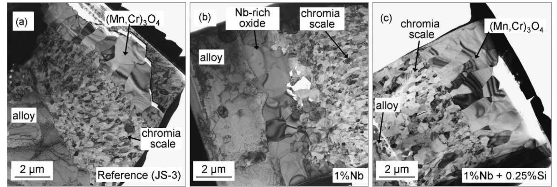 Tem images showing microstructures of the oxide scales