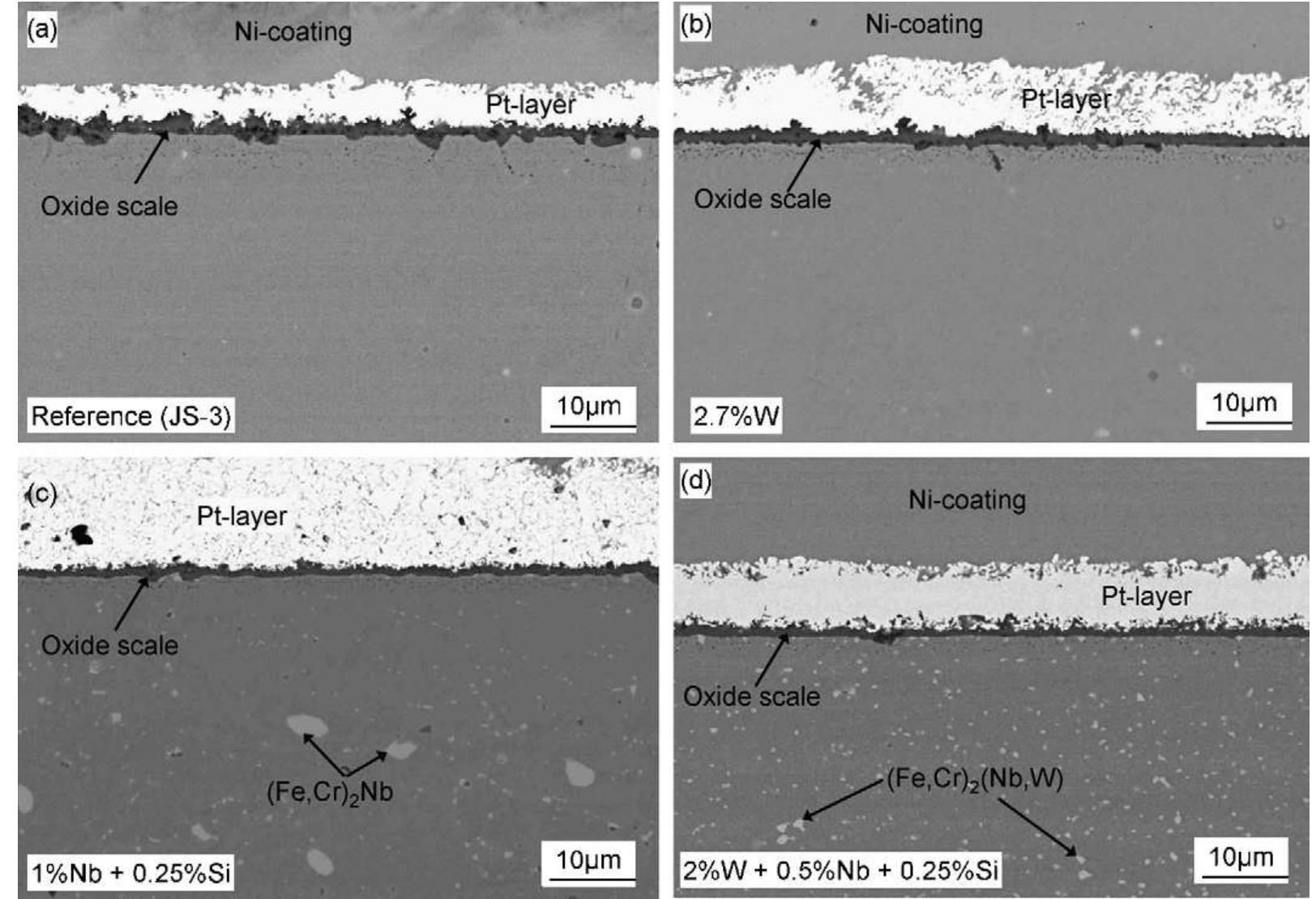 Sem/bse images showing microstructures of the oxide scales