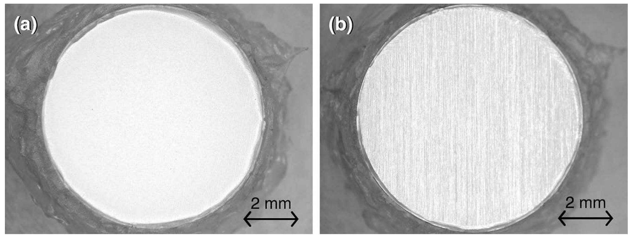 Optical microscope images of the surface of (a) 7 v-anodized