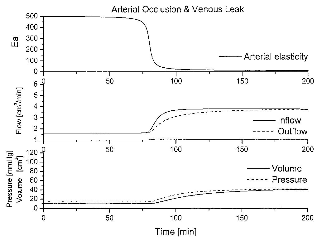 Fic. 8. arterial occlusion plus venous leakage had
