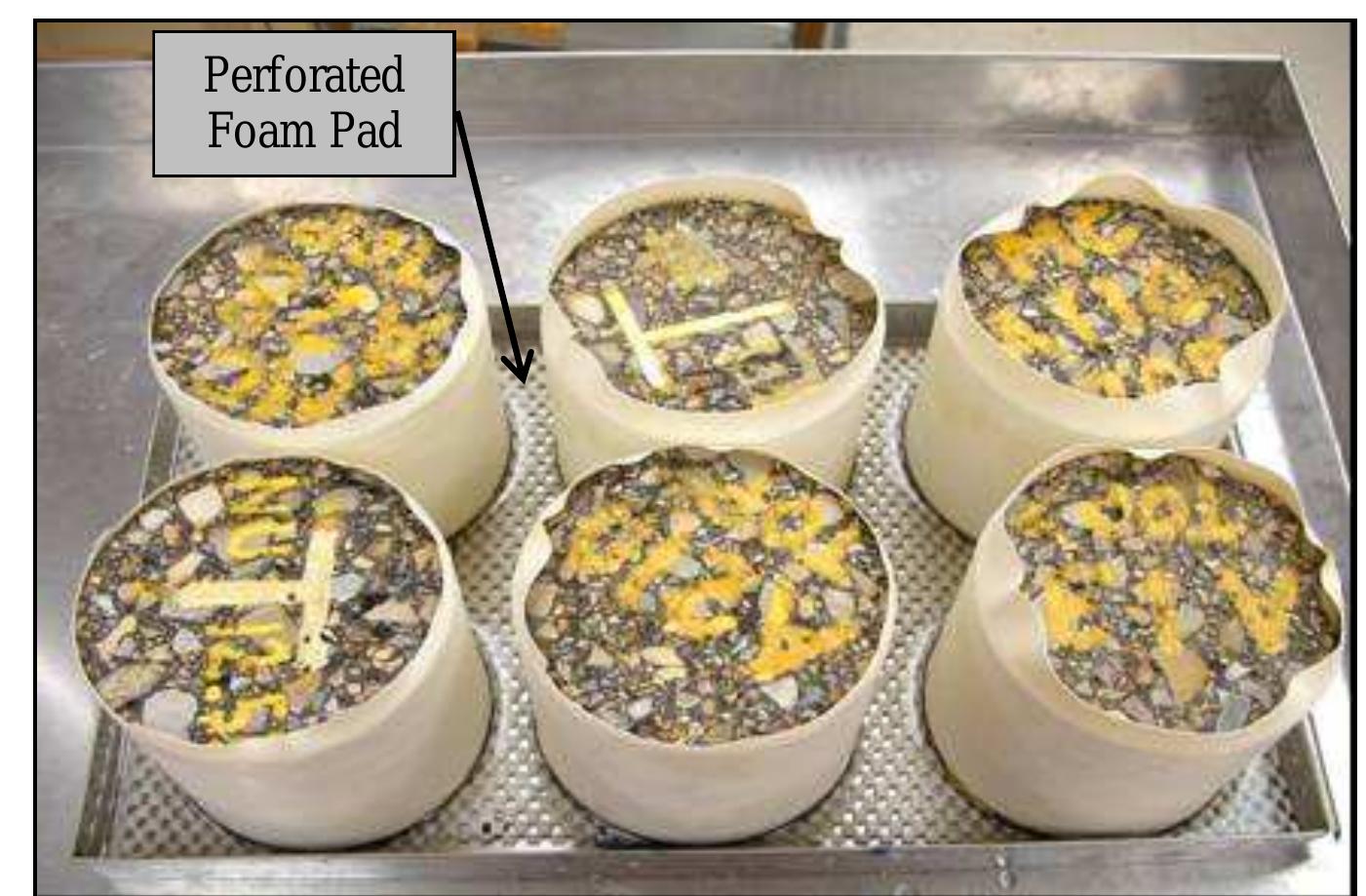 Specimen setup during the capillary rise laboratory