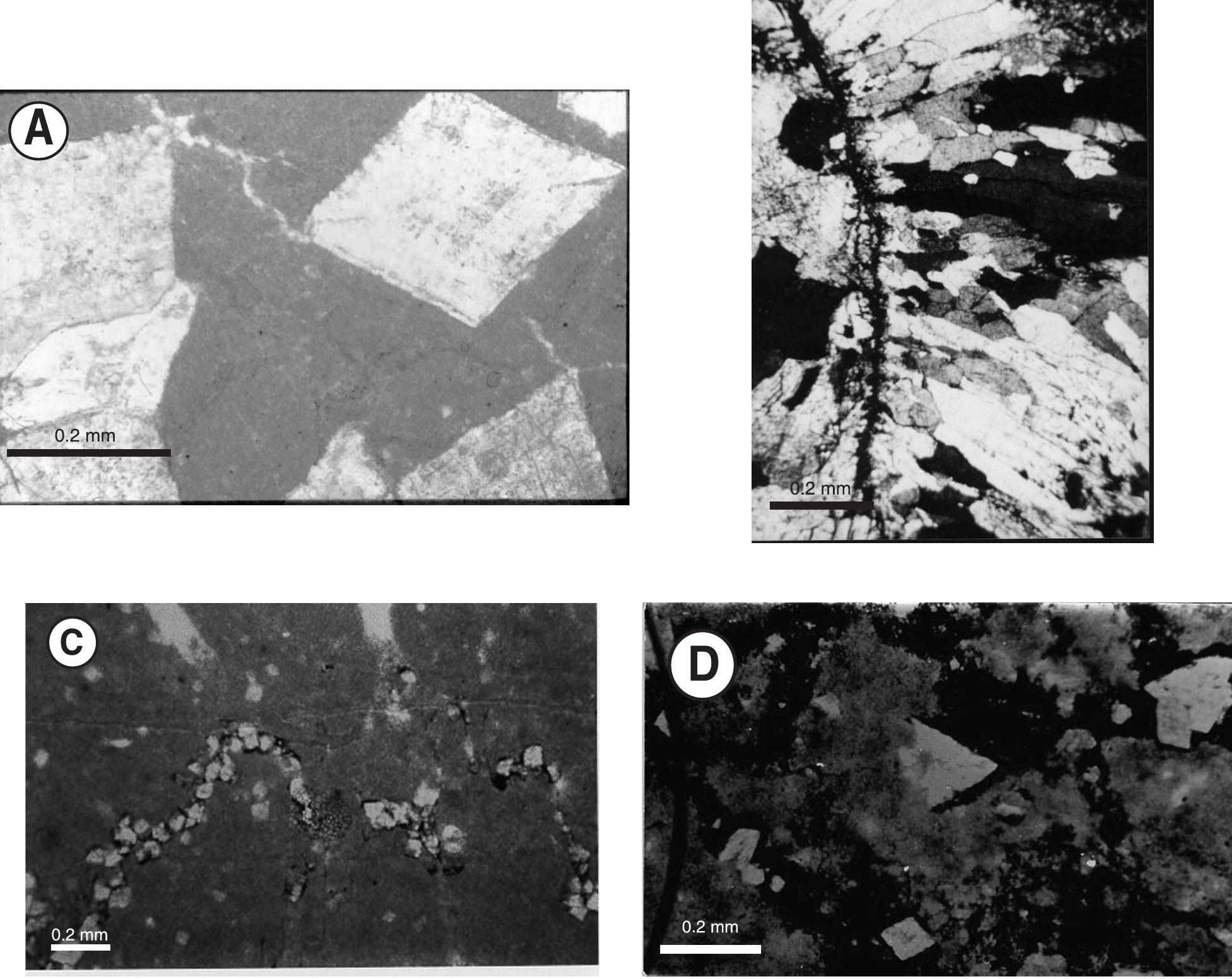 The different types of dolomite found in the mauddud